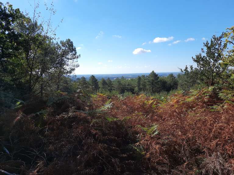 Le table des Diables et le signal des Viviers — boucle dans le FOREST ...