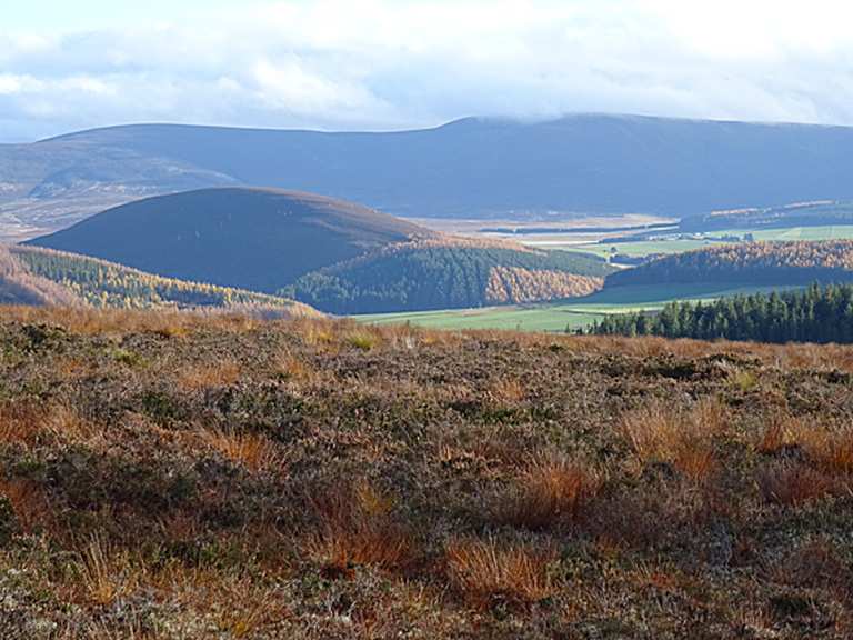 The Bochel & River Livet loop from Allanreid — Cairngorms National Park ...