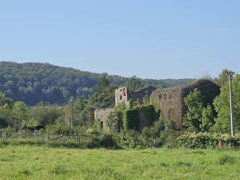 Bois de Ramousau — boucle depuis Vierves-sur-Viroin dans le parc ...