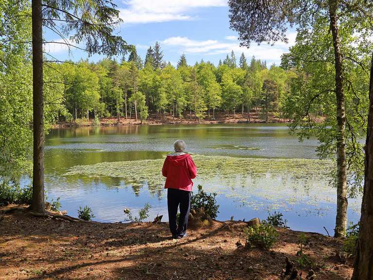 Stage 4: Innerleithen to Selkirk – Cross Borders Drove Road | hike | Komoot