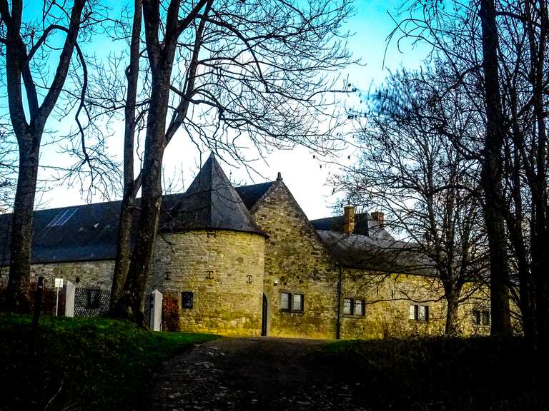 Château de la Falize: Wanderungen und Rundwege | komoot