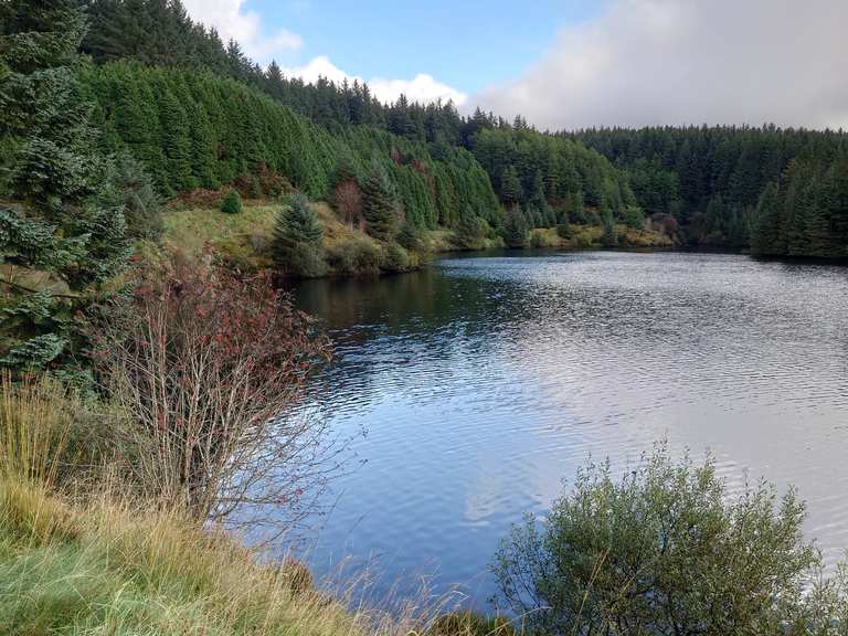 Banagher Glen Forest Trail — Sperrins AONB | hike | Komoot