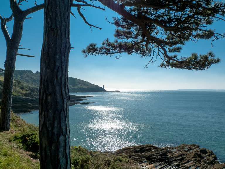 Porthbeor Beach – St Mawes Bay Runde von Bohortha | Wanderung | Komoot