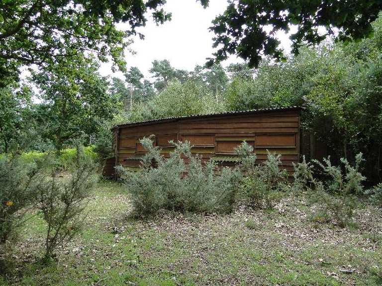 St Helena Trail na floresta de Dunwich — Suffolk Coast & Heaths ...
