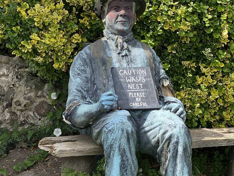 Whitlingham Great Broad & Surlington Church Marsh via River Yare — The ...