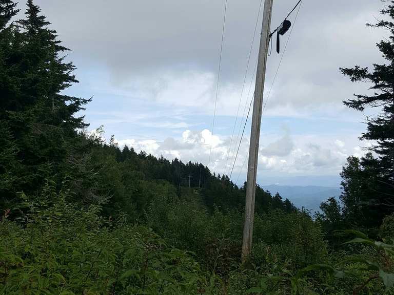 Anello Buncombe Horse Trail & Deep Gap Trail — Mount Mitchell State ...