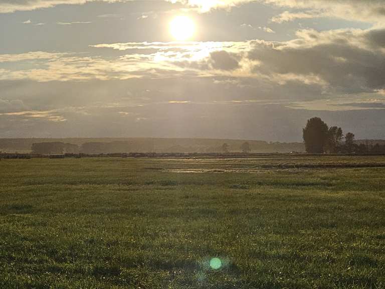 An der Datze: Radtouren und Radwege | komoot
