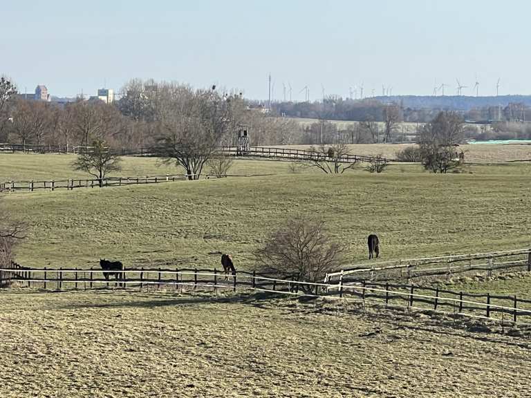 Vista desde Kleiner Pavillon sobre los potreros del criadero Görlsdorf ...
