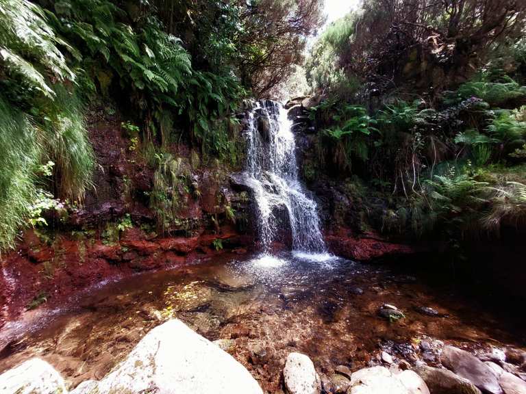 Levada do Pico da Urze e Levada do Alecrim - circuit sur l'île de ...