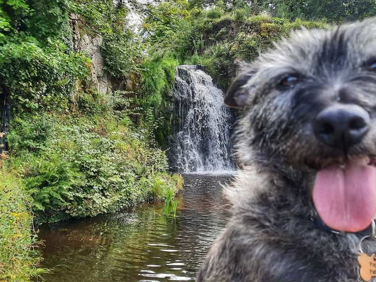 Balgray Reservoir: Wanderungen und Rundwege | komoot