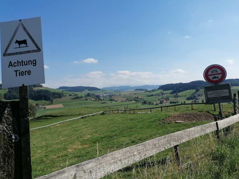 Strada Richigen–Enggistein – Colline panoramiche vicino a Bern giro ad ...