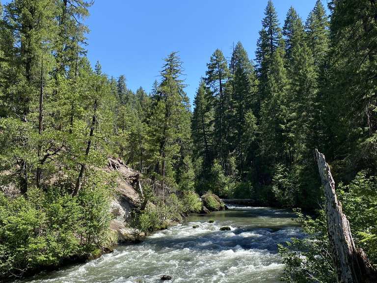 Sendero del río Rogue superior — Bosque nacional Rogue River–Siskiyou ...