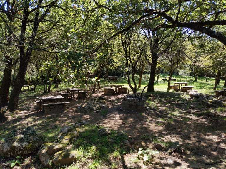 Il Monte Stella – loop run in the Cilento, Vallo di Diano e Alburni ...