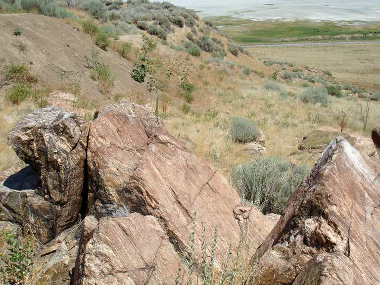 Bone Road Trail & Split Rock Loop Trail — Antelope Island State Park ...