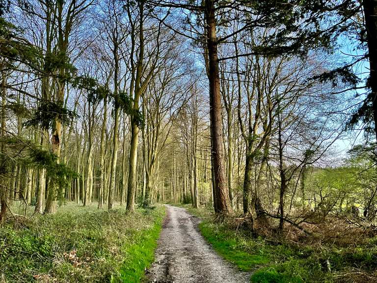 Highdown Hill, Patching and Angmering Park Estate loop — South Downs ...