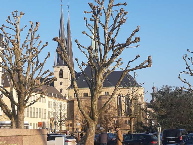 Statue : percorsi escursionistici e trekking | Komoot