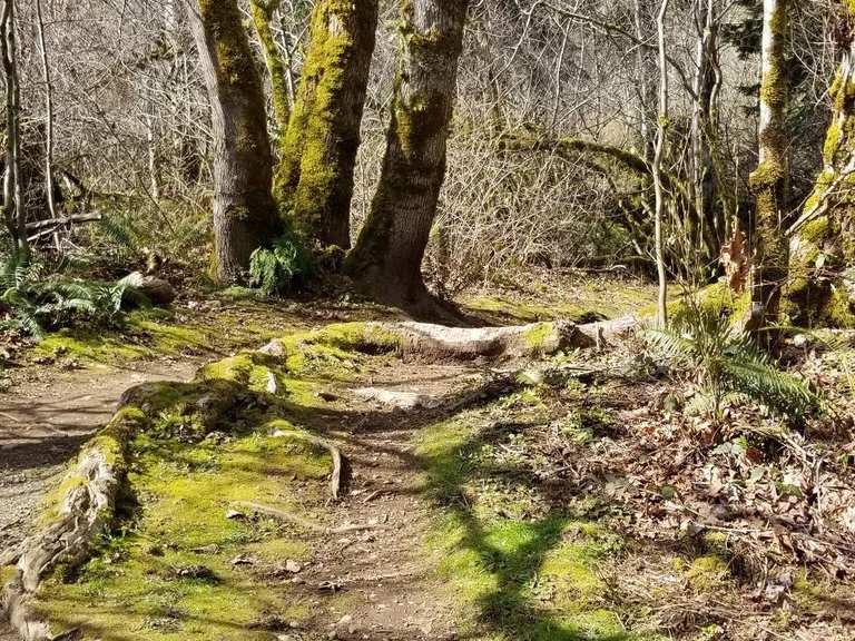 Soaring Eagle Regional Park outer loop | hike | Komoot