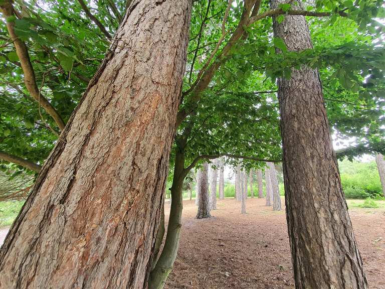 Sutton Park Routes for Walking and Hiking | Komoot
