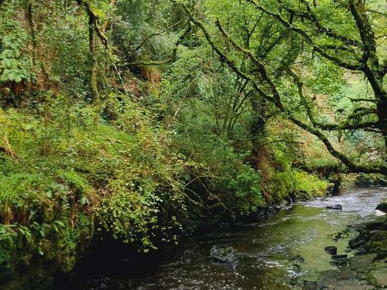 Clare Glens: Wanderungen und Rundwege | komoot