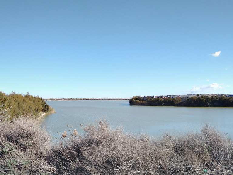 Salinas de Cerrillos — circular desde La Mojonera — Reserva Natural ...
