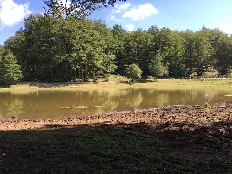 Monte Volturino, Monte Calvelluzzo e Serra di Calvello - giro ad anello ...