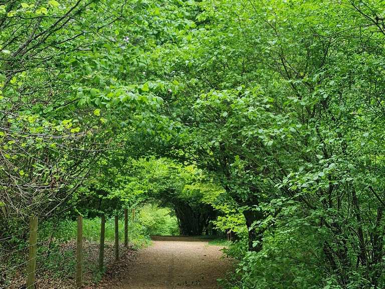 Crickley Hill Country Park loop — The Cotswolds AONB | hike | Komoot