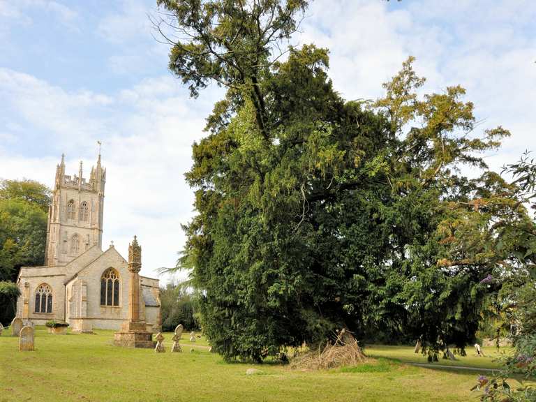 Castle Neroche, Staple Hill & Staple Fitzpane loop | hike | Komoot