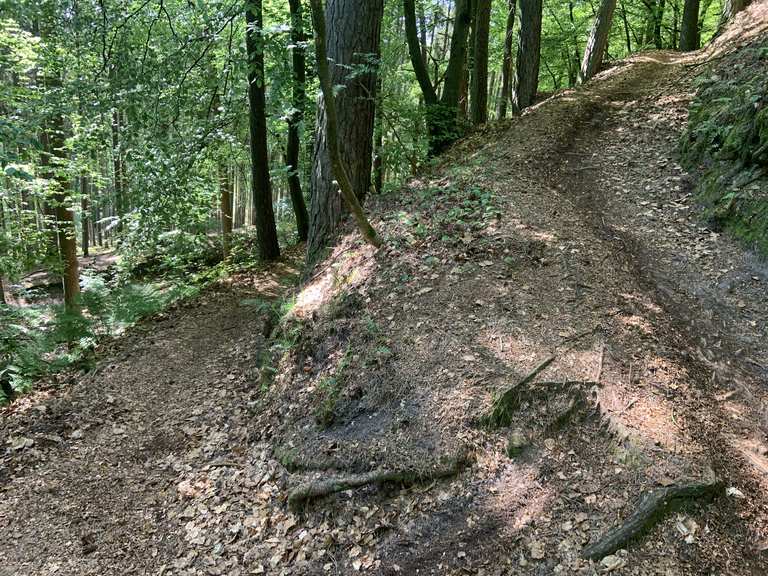 Alternative zur Teerstrasse vom Helperknapp: Mountainbike-Touren | komoot