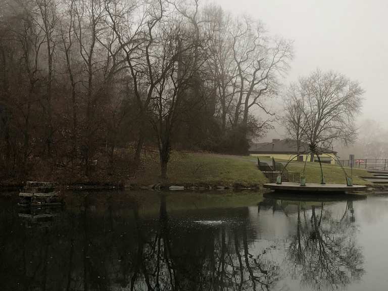 Lake Carnegie : Radtouren und Radwege | komoot