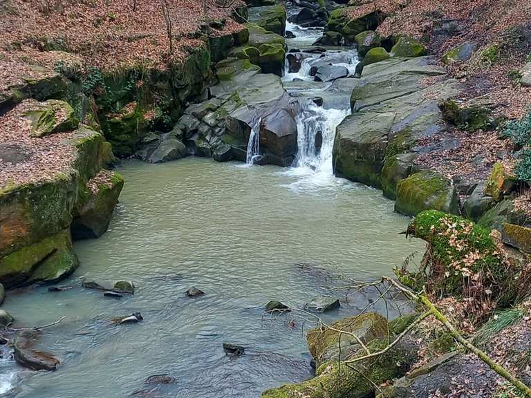 Healey Dell Nature Reserve - Fairy Bridge Routes for Walking and Hiking ...