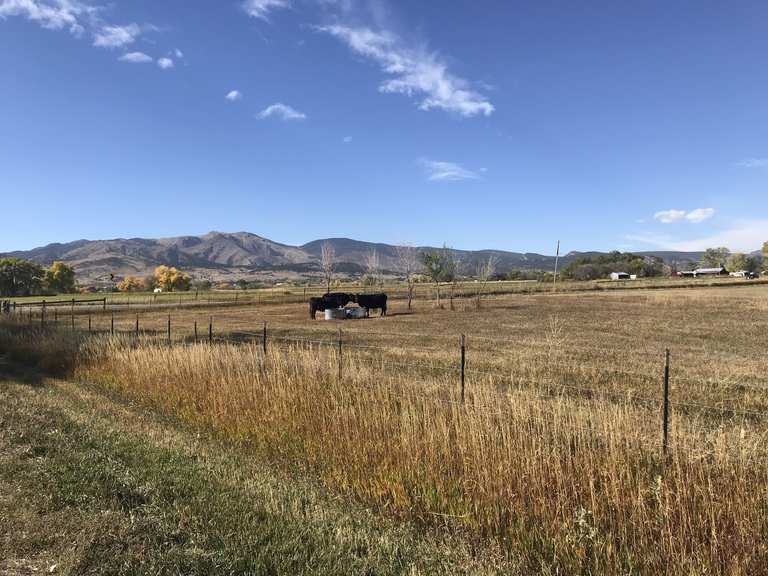 Hygiene and Carter Lake loop from Pearl Street — Boulder | road ride ...