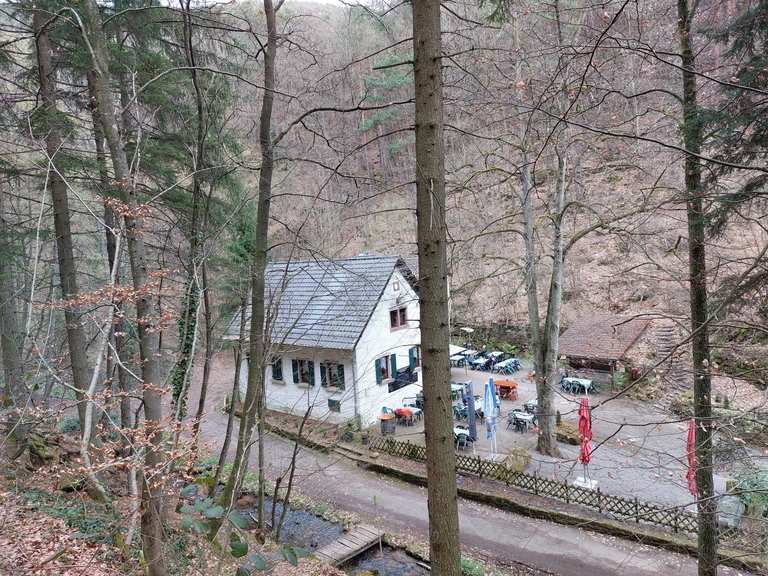 Gimmeldinger Tal (Benjental) e Zur Alten Talmühle: percorsi ciclabili ...