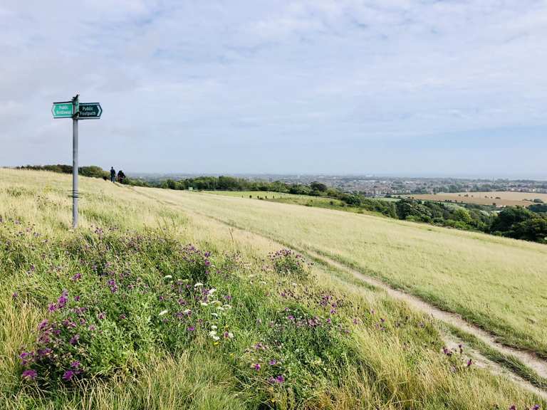 Highdown Hill, Patching and Angmering Park Estate loop — South Downs ...