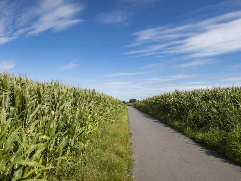 Verkeersvrije weg door de natuur - fietsroutes en kaart | Komoot