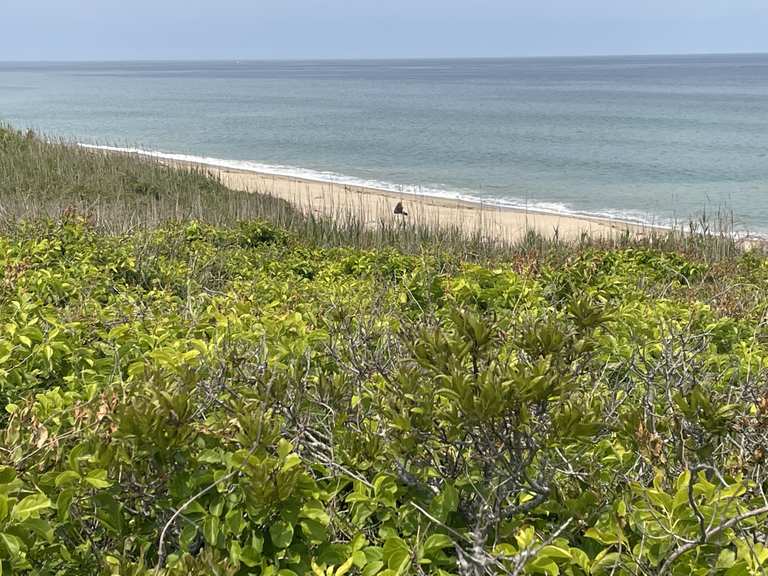 Nauset Marsh loop to Coast Guard Beach from Sand Pond — Cape Cod ...