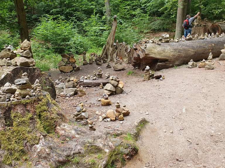 Sendero Kuhstallstraße hacia Neuer Wildenstein: Rutas de senderismo y ...