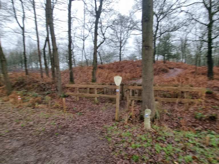 Oude Voorthuizerweg onverhard - fietsroutes en kaart | Komoot