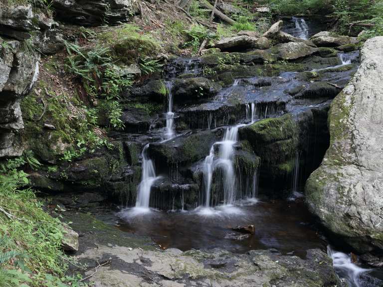 Day Pond Brook Falls de Comstock Bridge — Day Pond State Park | trilha ...