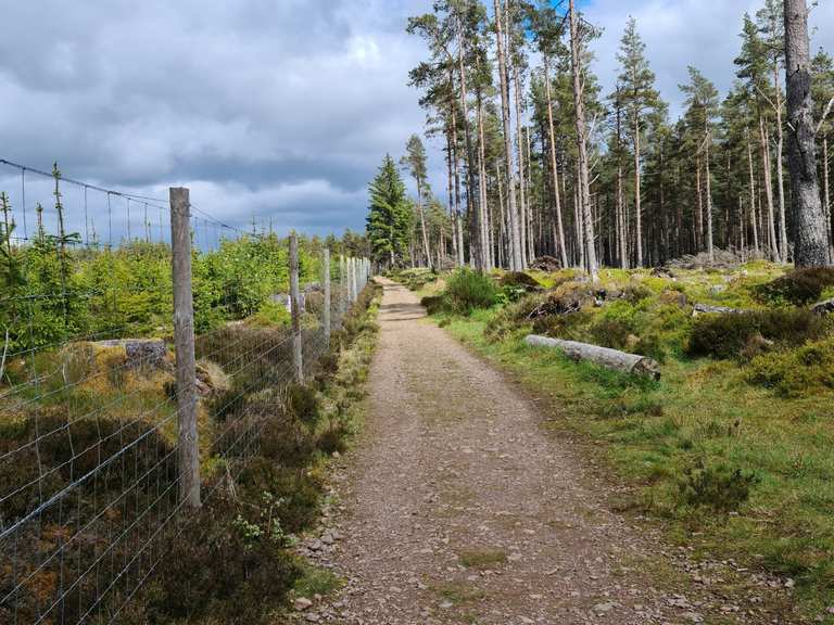 Great Glen Way & Dochgarroch loop from Abriachan | ride | Komoot
