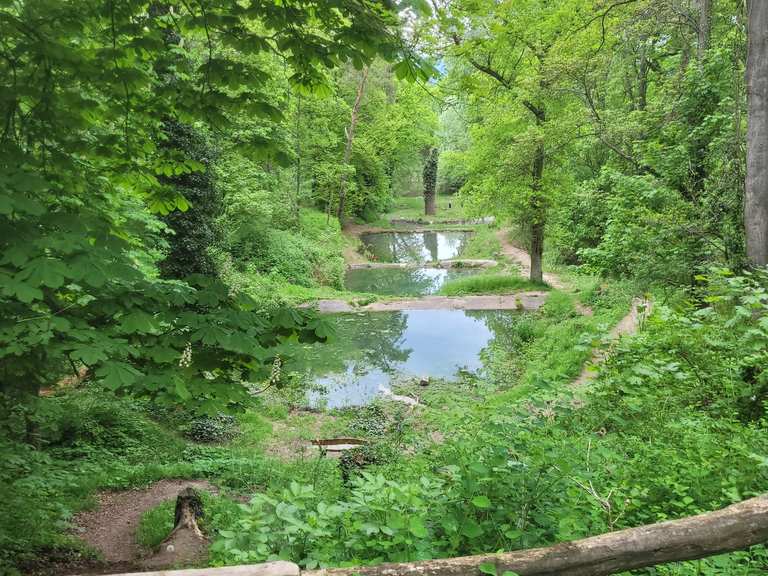 7 Seen Projekt Finthen : Radtouren und Radwege | komoot