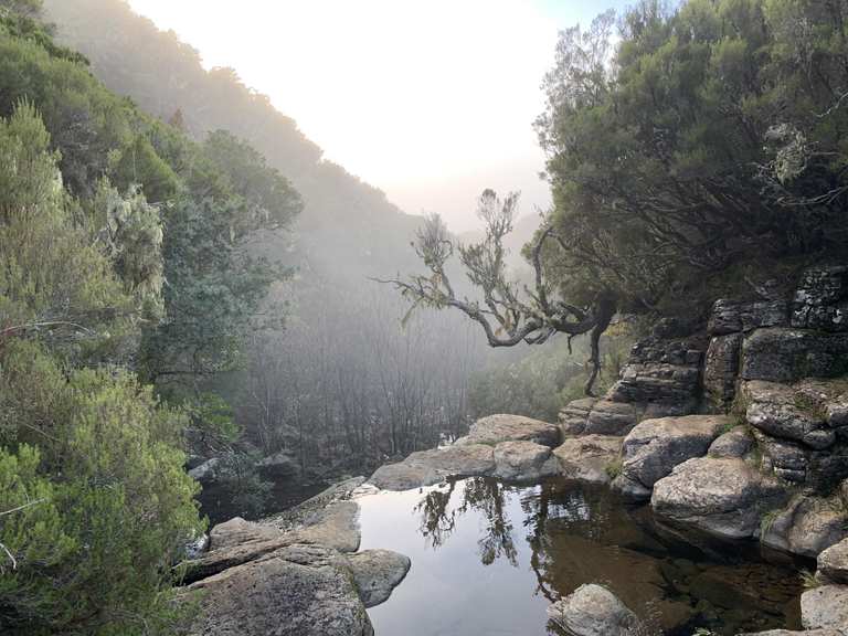 Levada do Pico da Urze e Levada do Alecrim — circular route on the ...