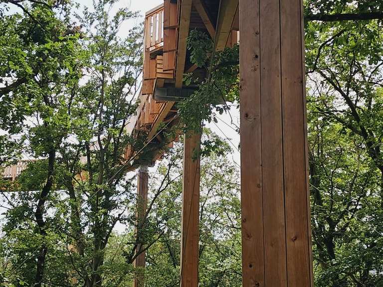 Baumwipfelpfad Bad Camberg – Wander- & Radrouten | Komoot