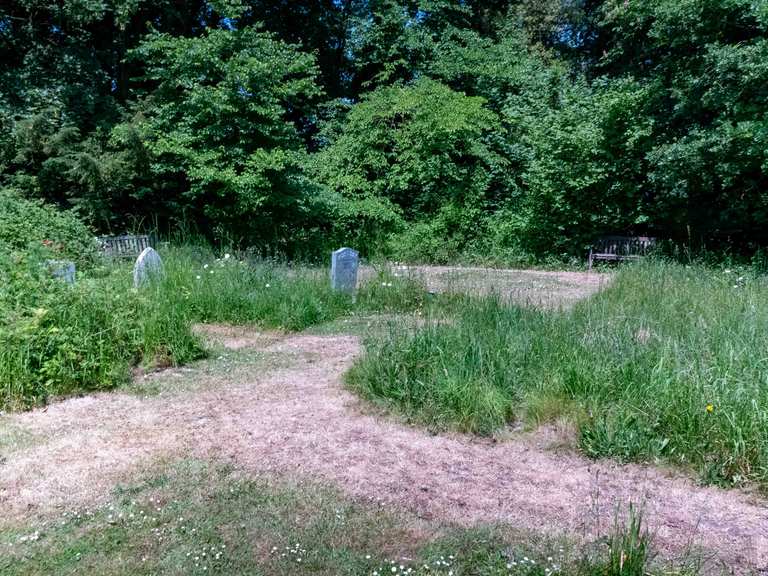 Treyford Cemetery Churchyard Conservation Area – Cycling Routes & How ...