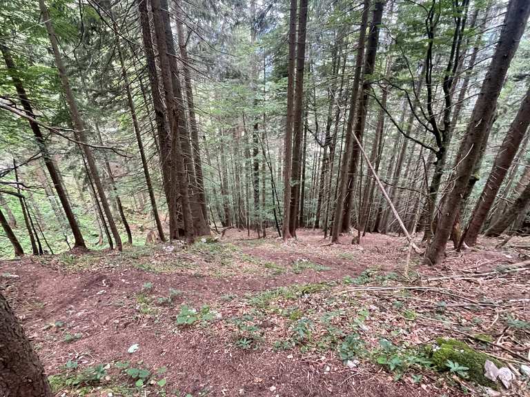 99-Serpentinen-Steig - Ruhpolding, Chiemgau | Bergtour-Highlight | Komoot