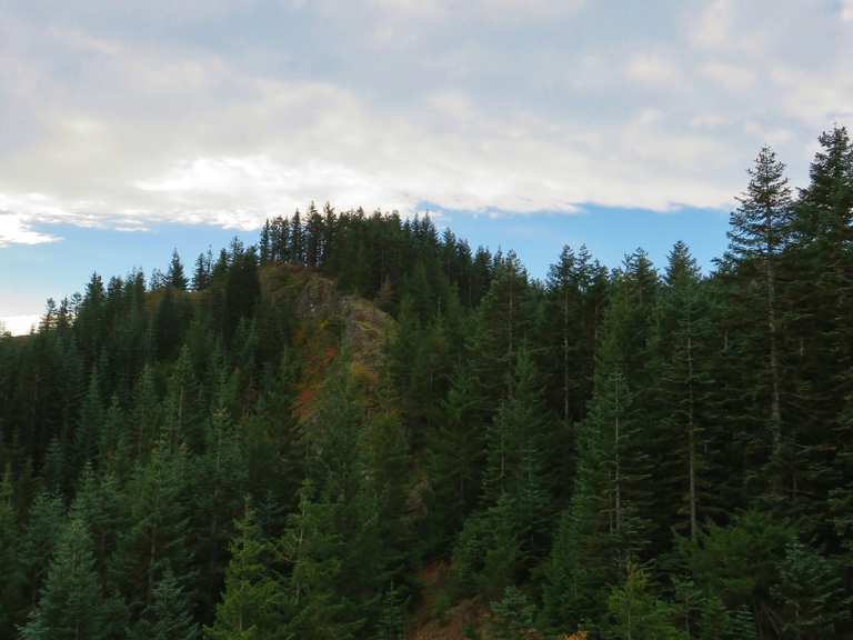 Salmon River & Hunchback Trail loop — Salmon-Huckleberry Wilderness | Wanderung | Komoot