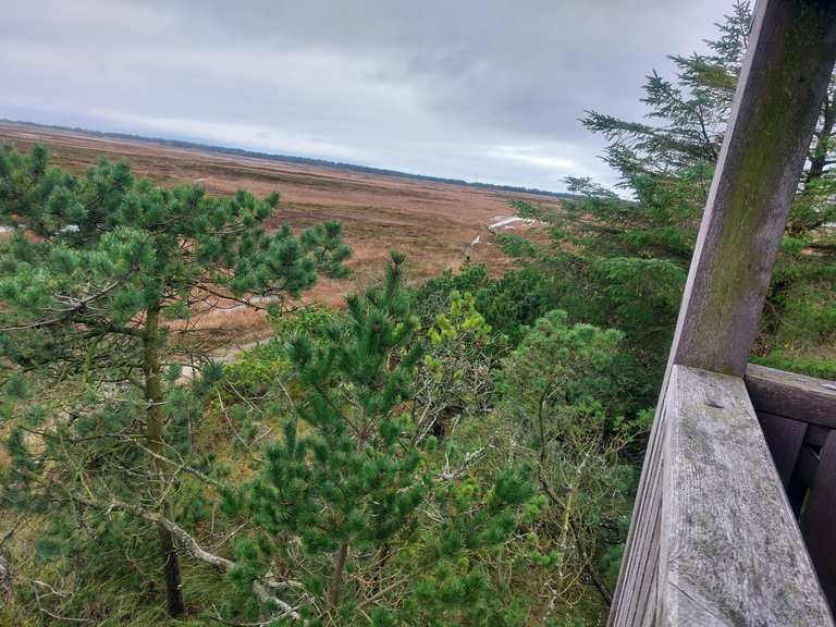 View of Ålvand Klithede from Observation Tower - Cycle Routes and Map ...