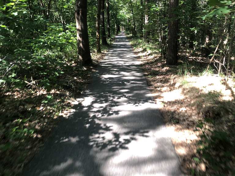 Rucphense Heide - nice bike path through a beautiful area Road Cycle ...