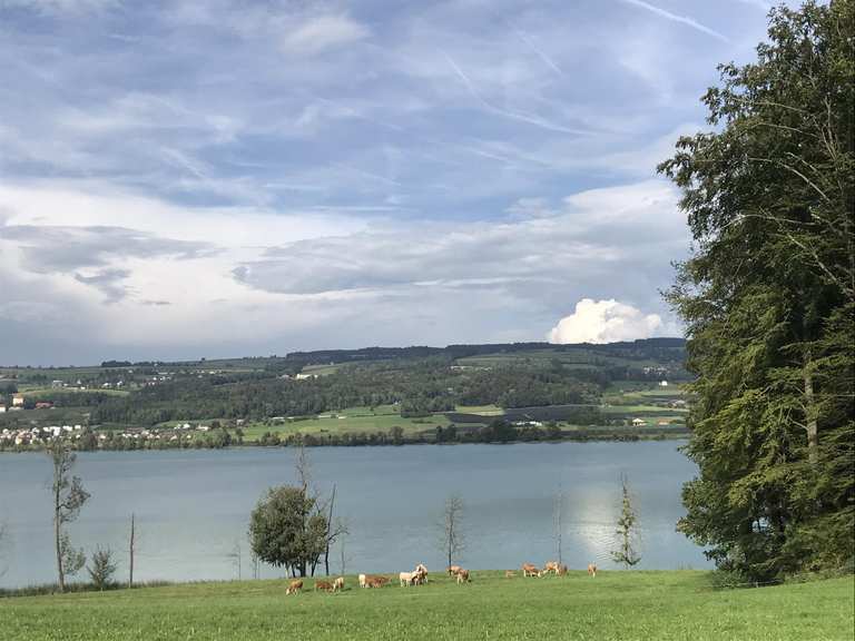 Landgasthof Mühleholz : Radtouren und Radwege | komoot
