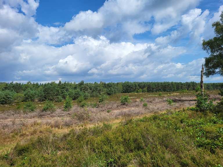 MTB Schaarsbergen-Koningsheide (ST 24-27): MTB-routes en trails | Komoot