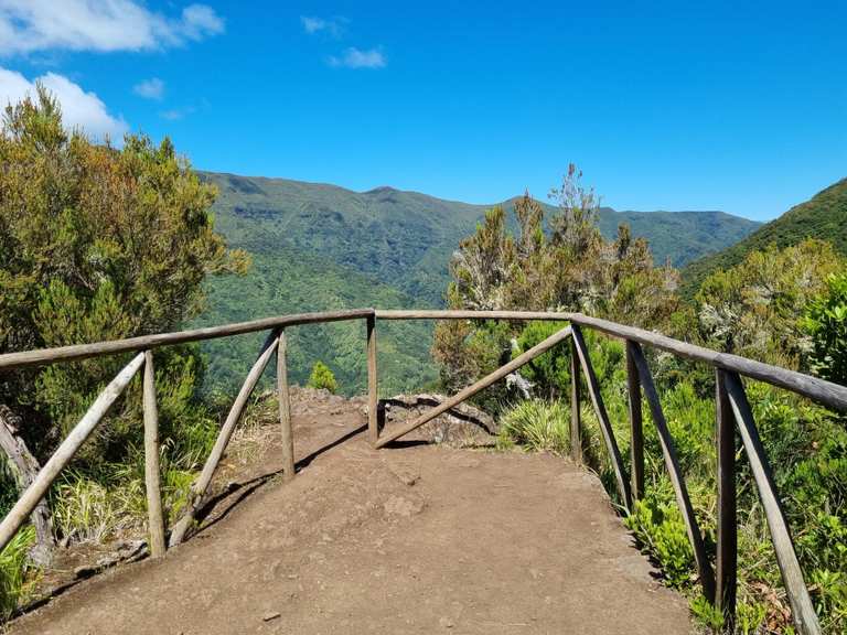 Levada dos Cedros e Fanal - trilha circular PR14 na Ilha da Madeira ...